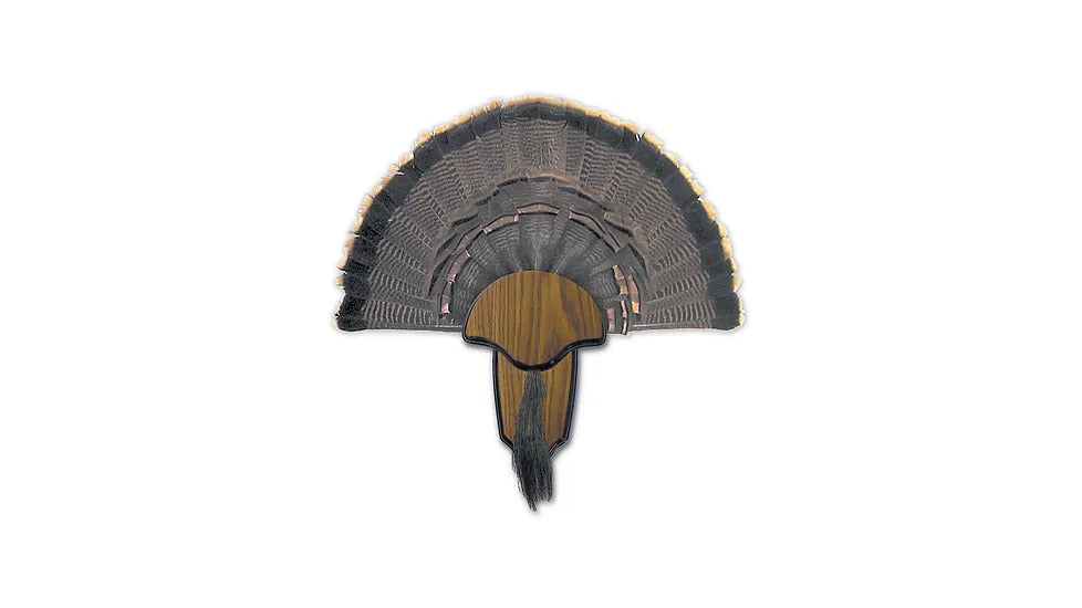 Turkey Tail & Beard Mount Kit
