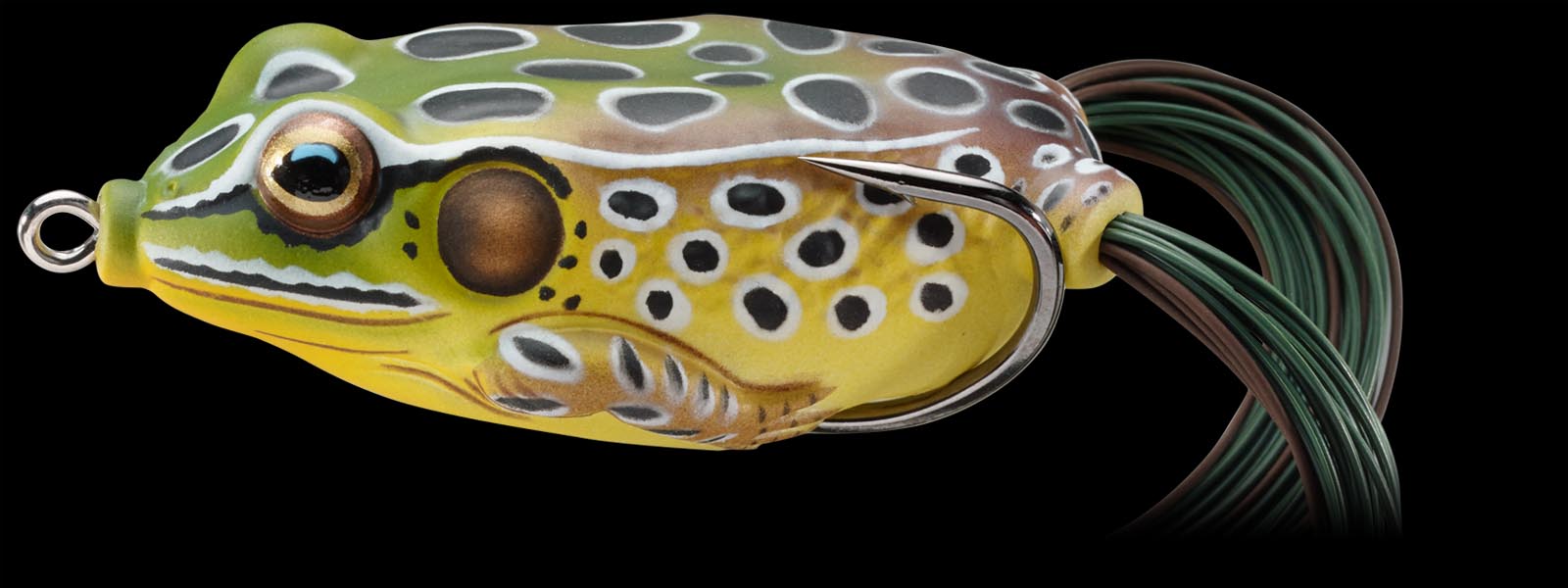 Frog (Hollow Body)