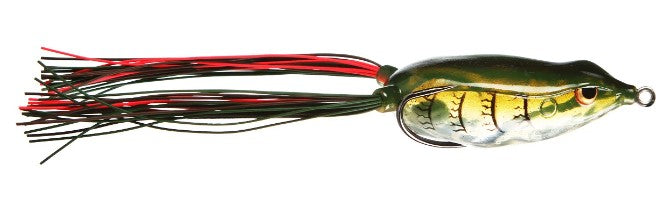 Dean Rojas Bronzeye Frog 65