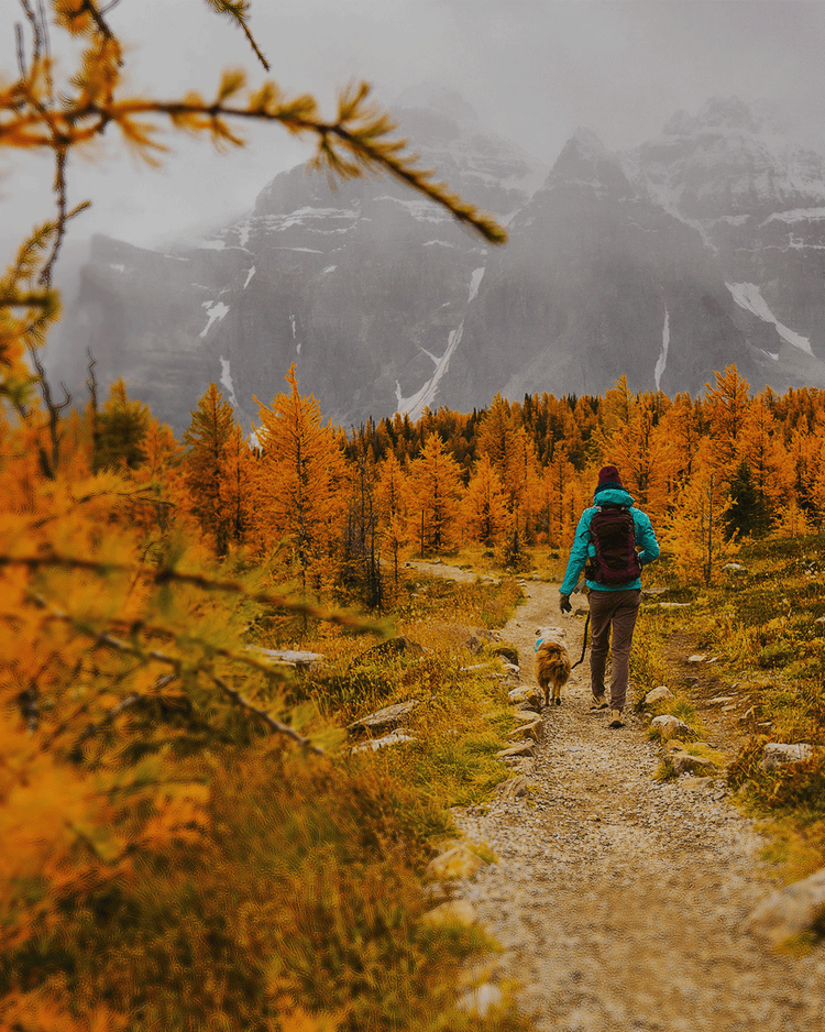 Ramsey Outdoor | Outdoor Outfitters- Hike Camp Climb Paddle Fish Hunt