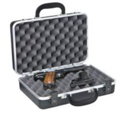 Gun Guard DLX Two Pistol Case